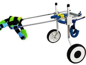 The 7 Best Dog Wheelchair [2020 Reviews] - Pet Life World