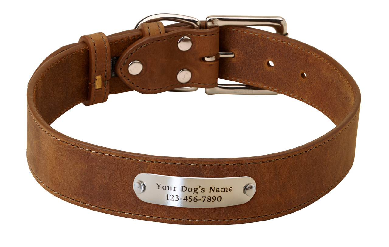 7 Best Leather Dog Collars [2021 Updated] - Pet Life World