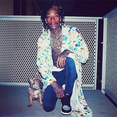 Best Celebrity Dog Names - Pet Life World